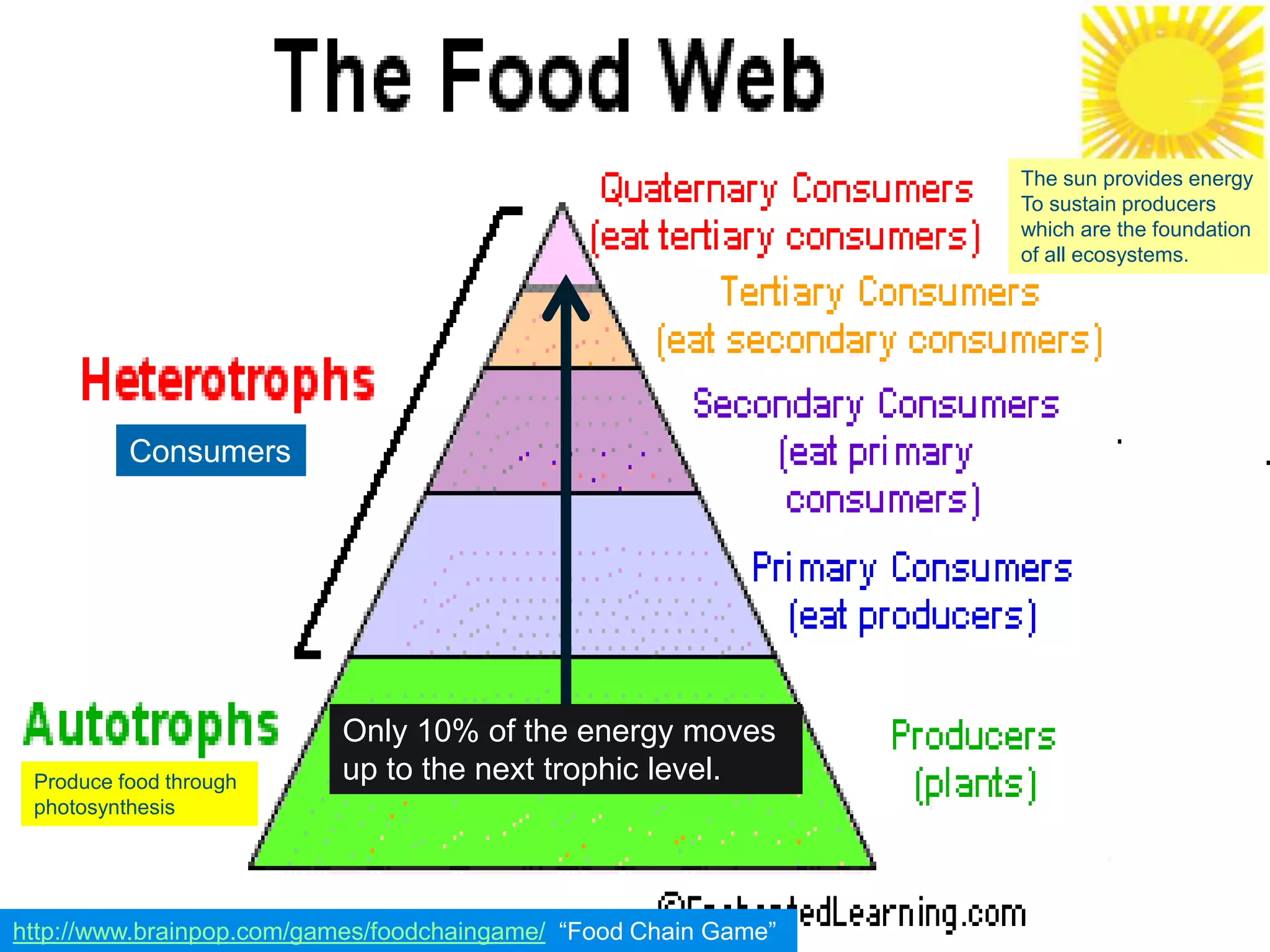Ecosystem powerpoint | PPT