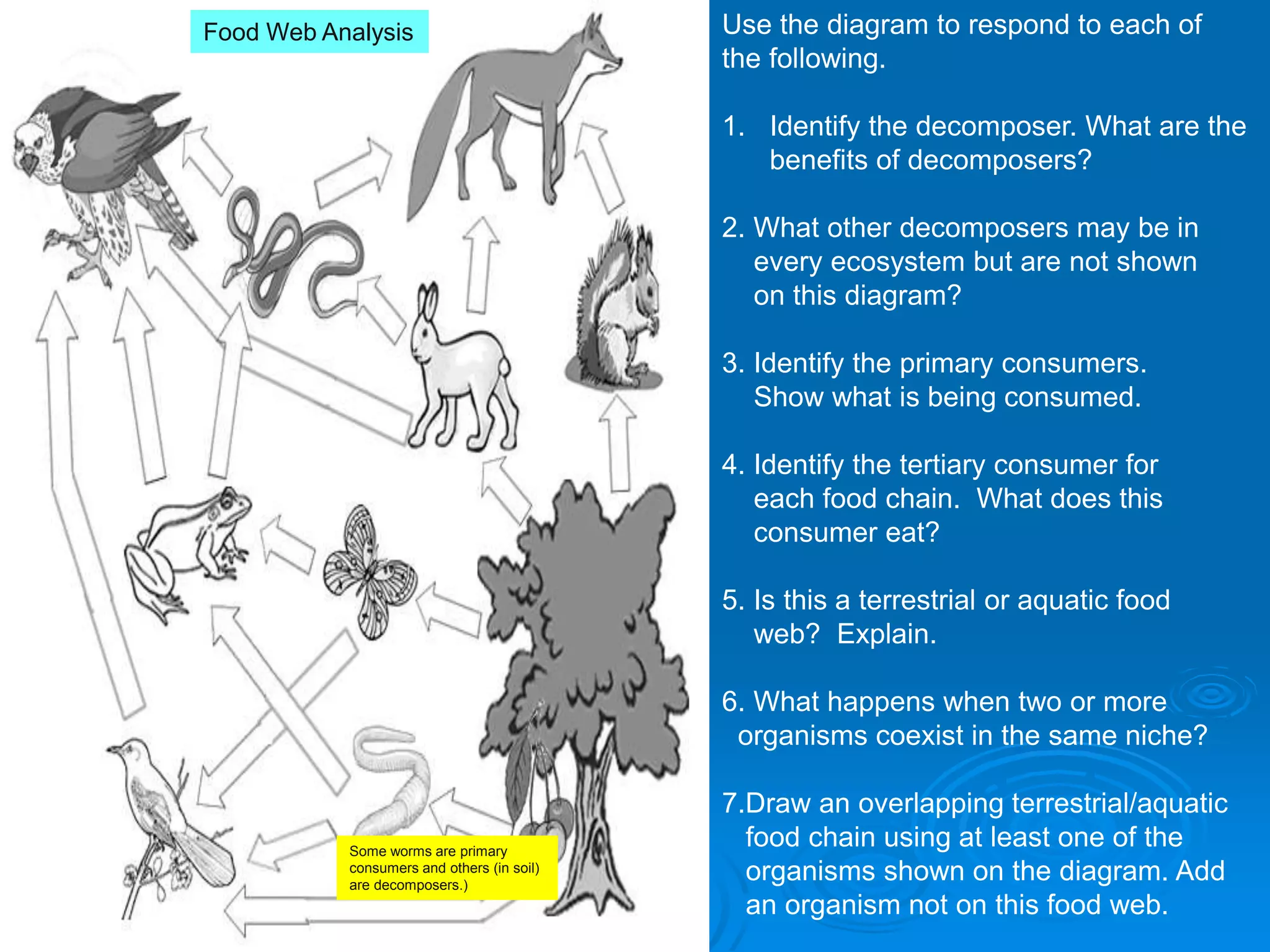 Ecosystem powerpoint | PPT