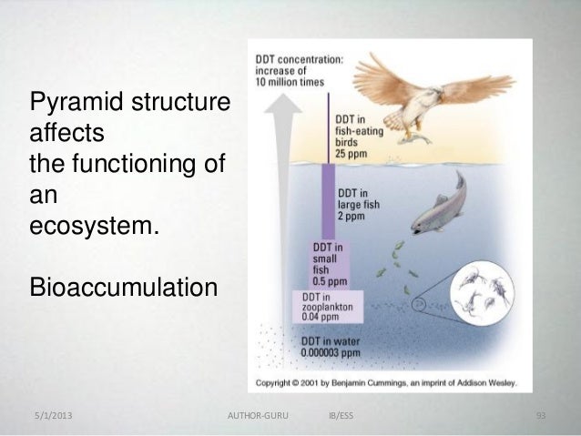Bioaccumulation Pyramid