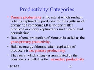 Primary Productivity Definition