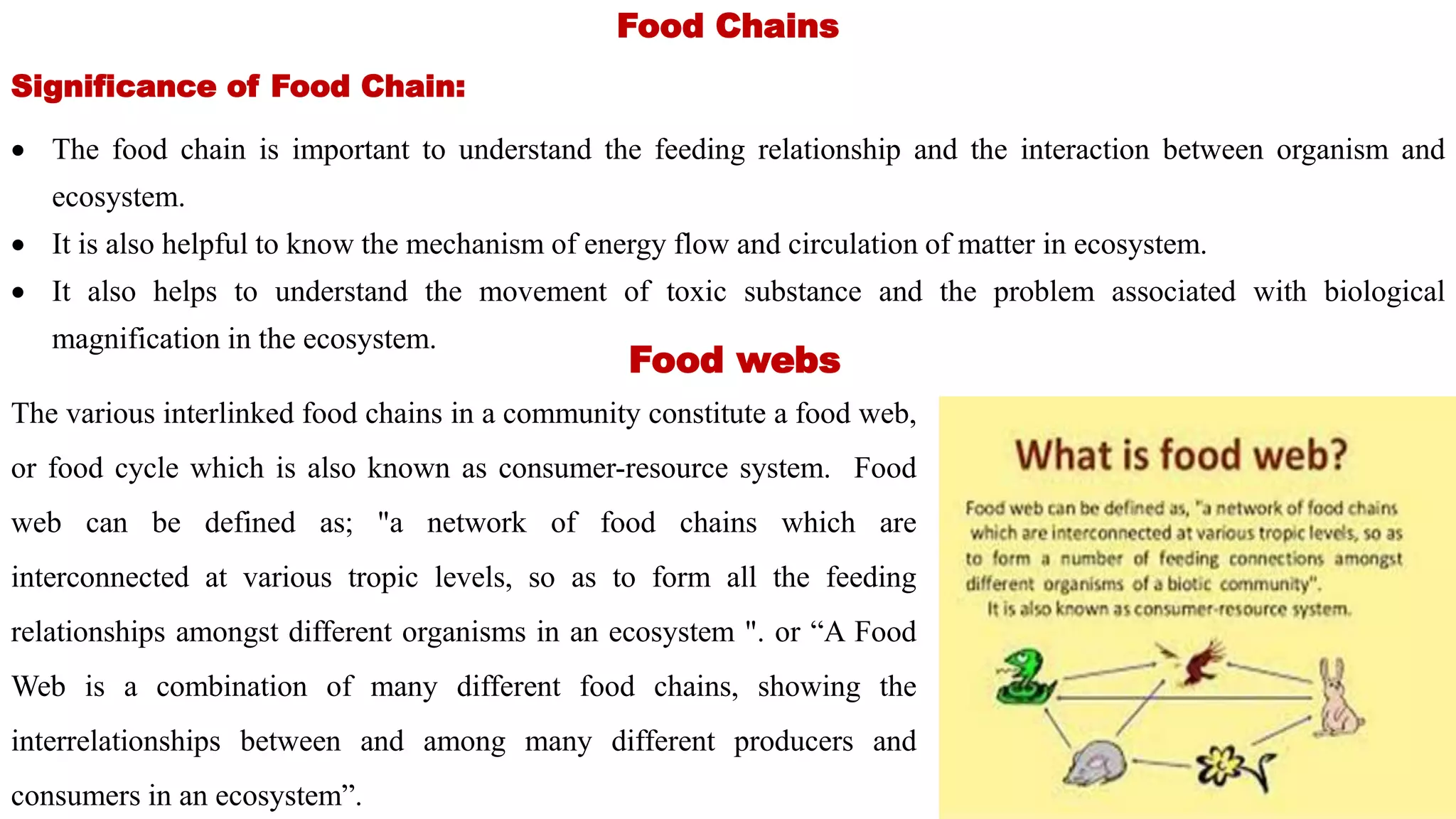 ECOSYSTEM PPT.pptx