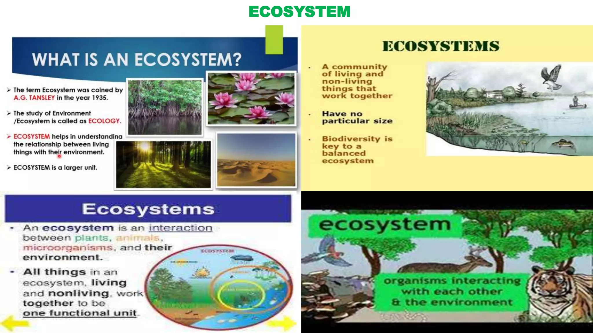 ECOSYSTEM PPT.pptx | Geography | Science
