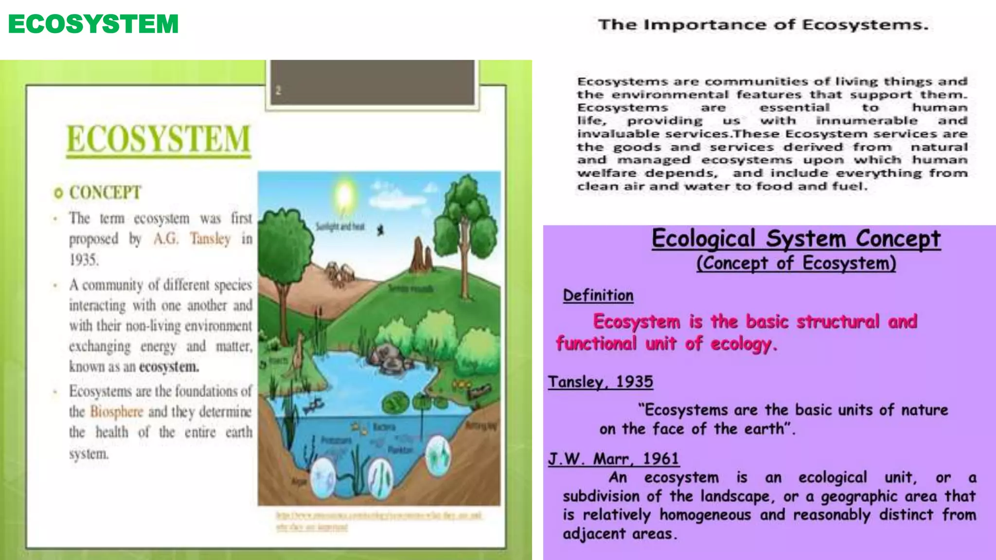 ECOSYSTEM PPT.pptx | Geography | Science