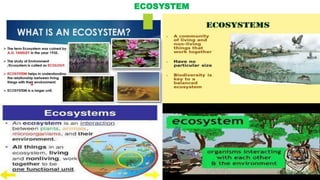 ECOSYSTEM PPT.pptx | Geography | Science