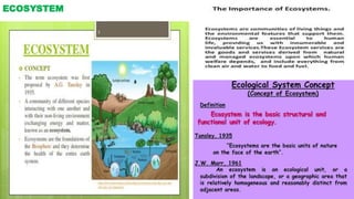 ECOSYSTEM PPT.pptx | Geography | Science