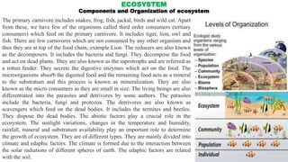 ECOSYSTEM PPT.pptx