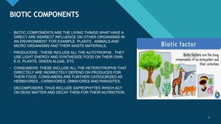ECOSYSTEM PPT.pptx