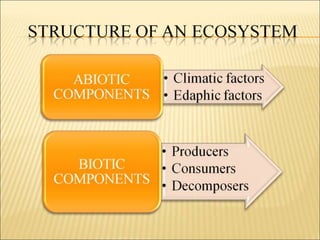 ECOSYSTEM (Hazards and safety management) | PPTX