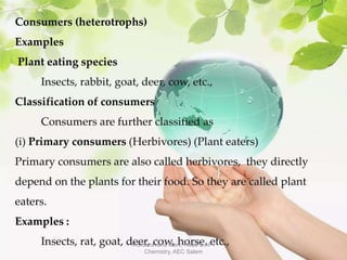 BASICS OF ECOSYSTEM AND BIODIVERSITY PPT.pptx