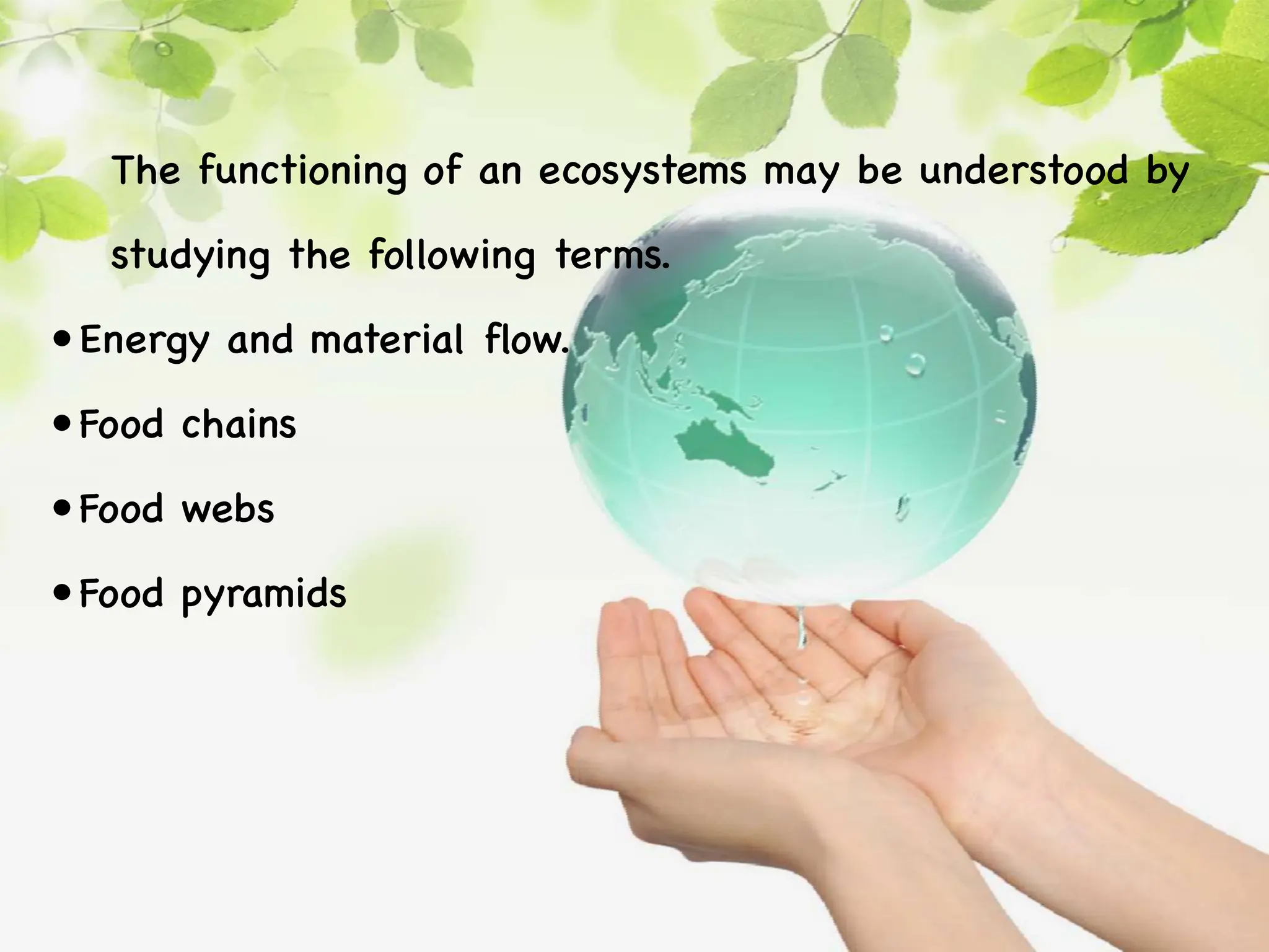 Ecosystem PPT. . . | PPT