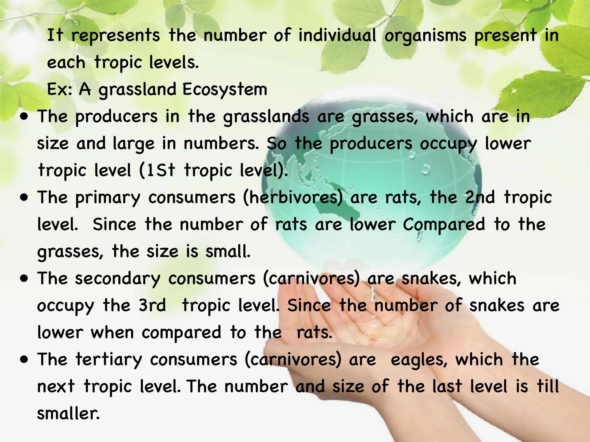 Ecosystem PPT. . . | PPT
