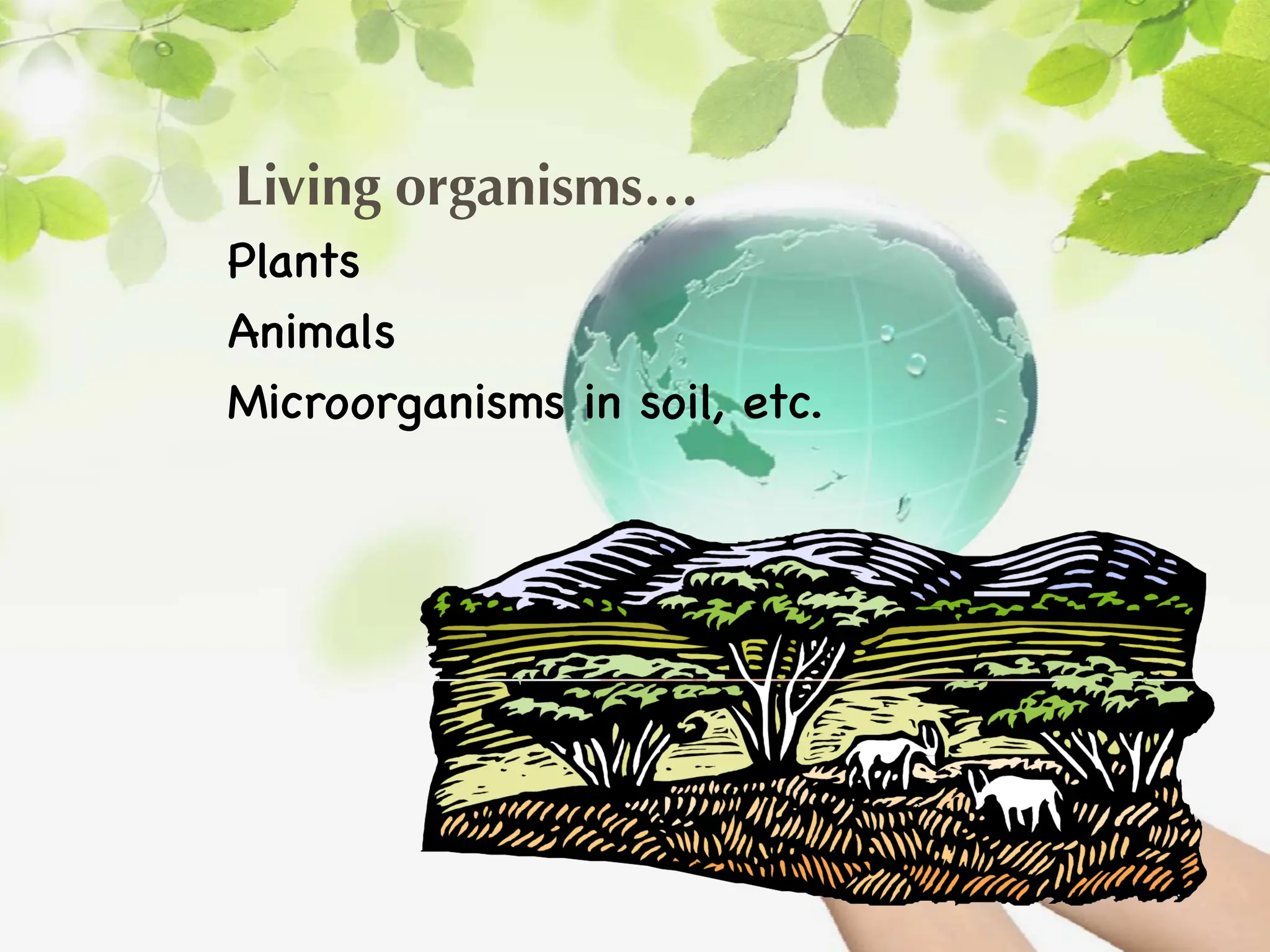 Ecosystem PPT. . . | PPT