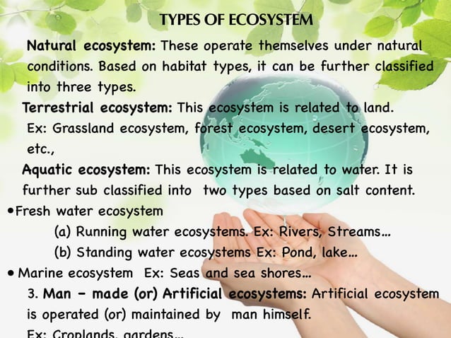 Ecosystem PPT. . . | PPT