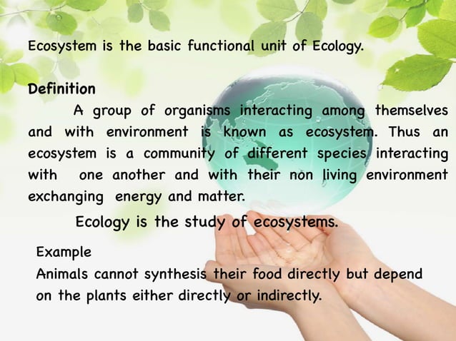 Ecosystem PPT. . . | PPT