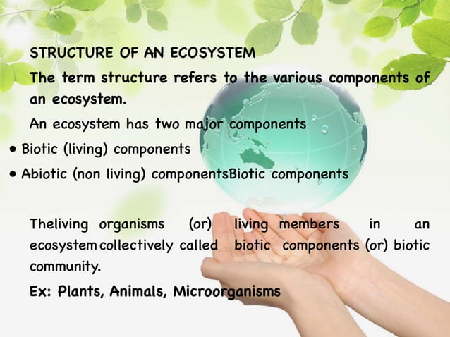 Ecosystem PPT. . . | PPT
