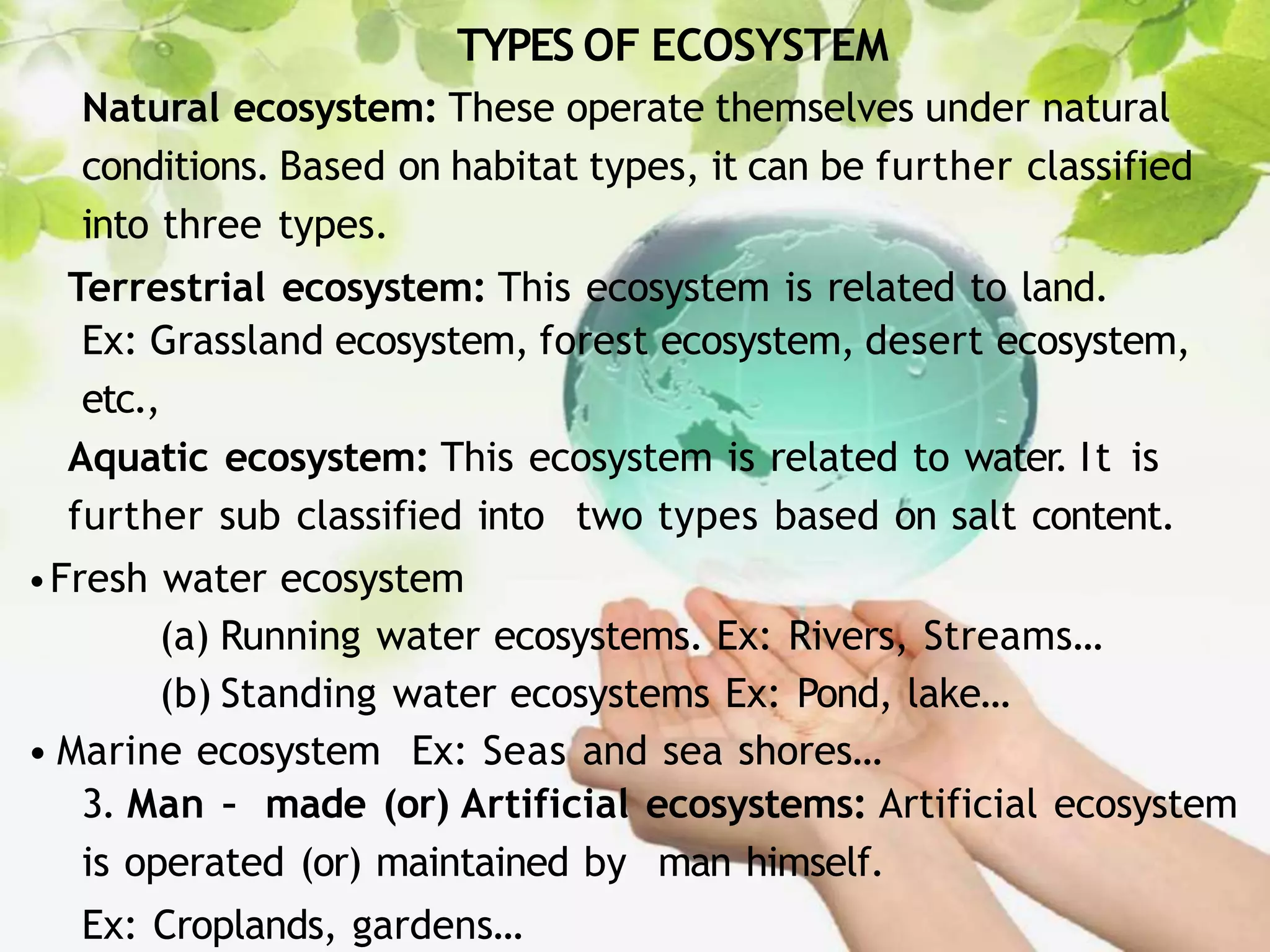 Ecosystem PPT_735_compressed.pptx | Geography | Science