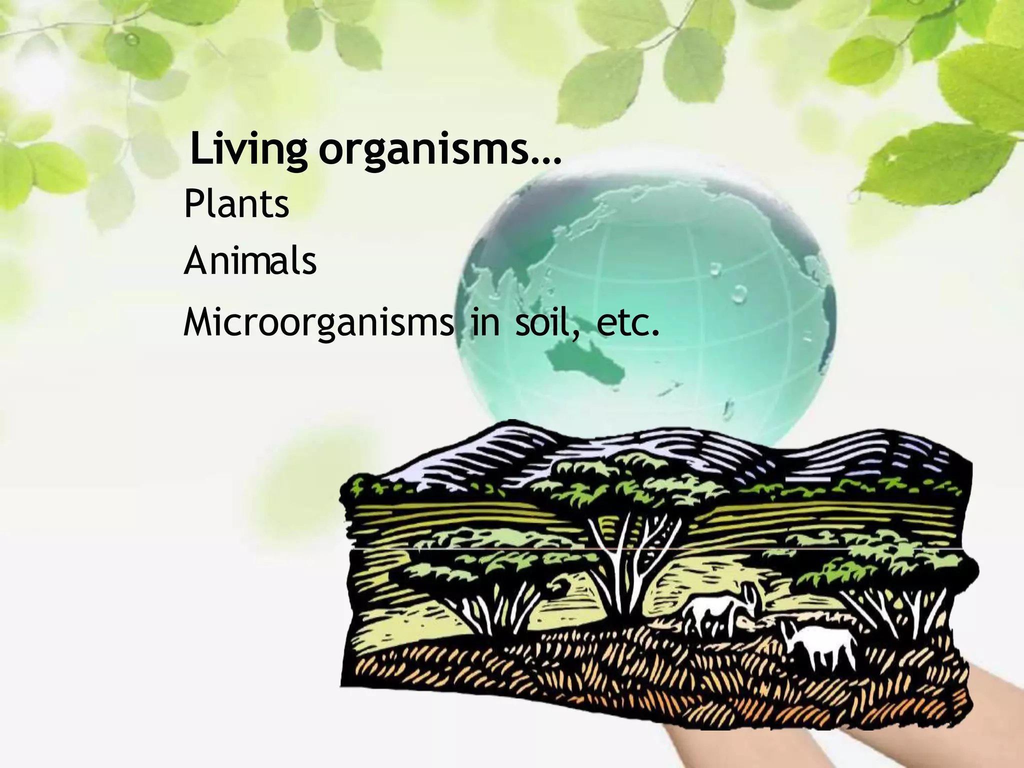 Ecosystem PPT_735_compressed.pptx | Geography | Science