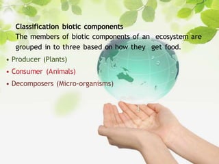 Ecosystem PPT_735_compressed.pptx