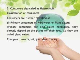 Ecosystem PPT_735_compressed.pptx