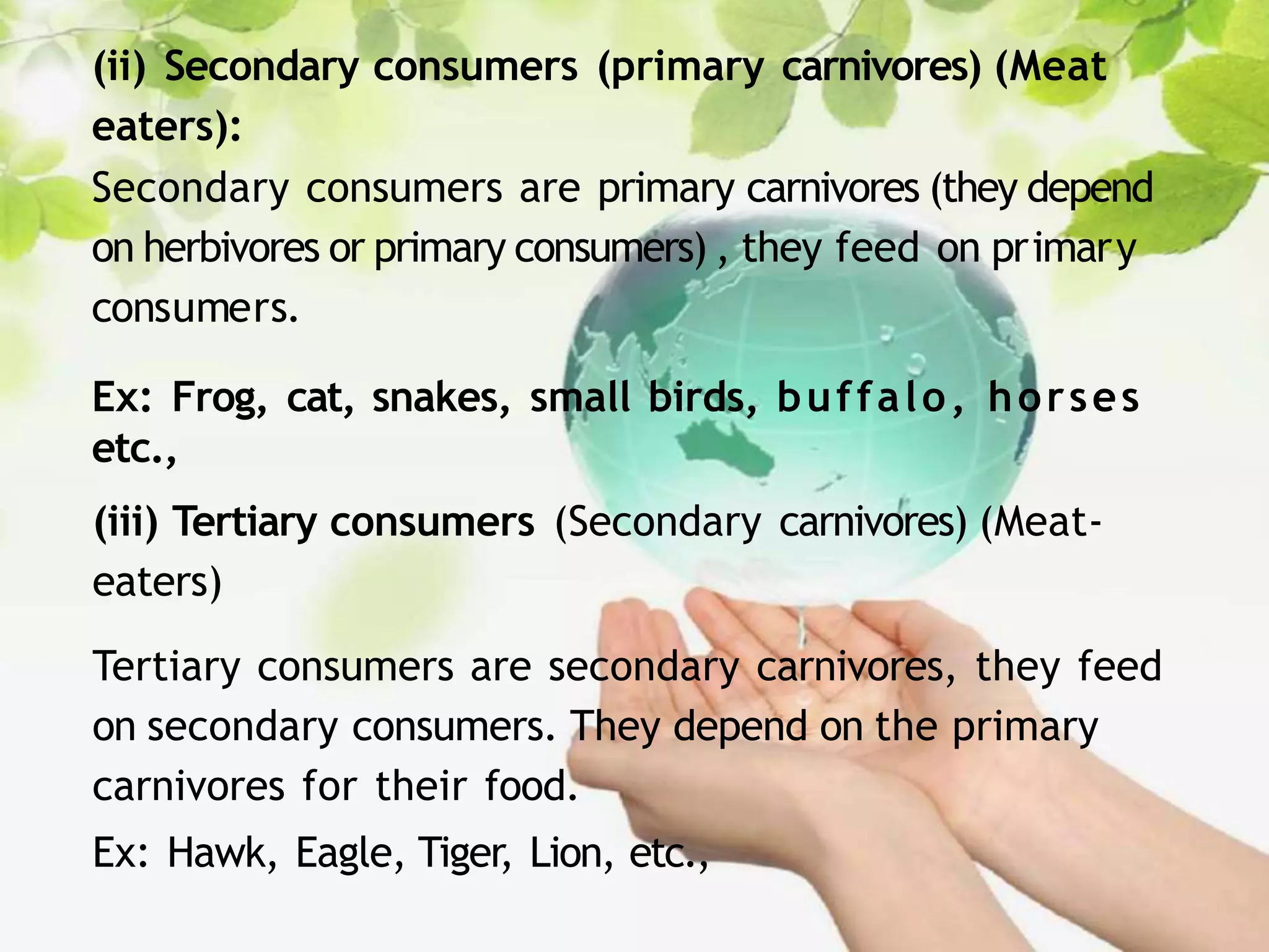 Ecosystem PPT_735_compressed.pptx