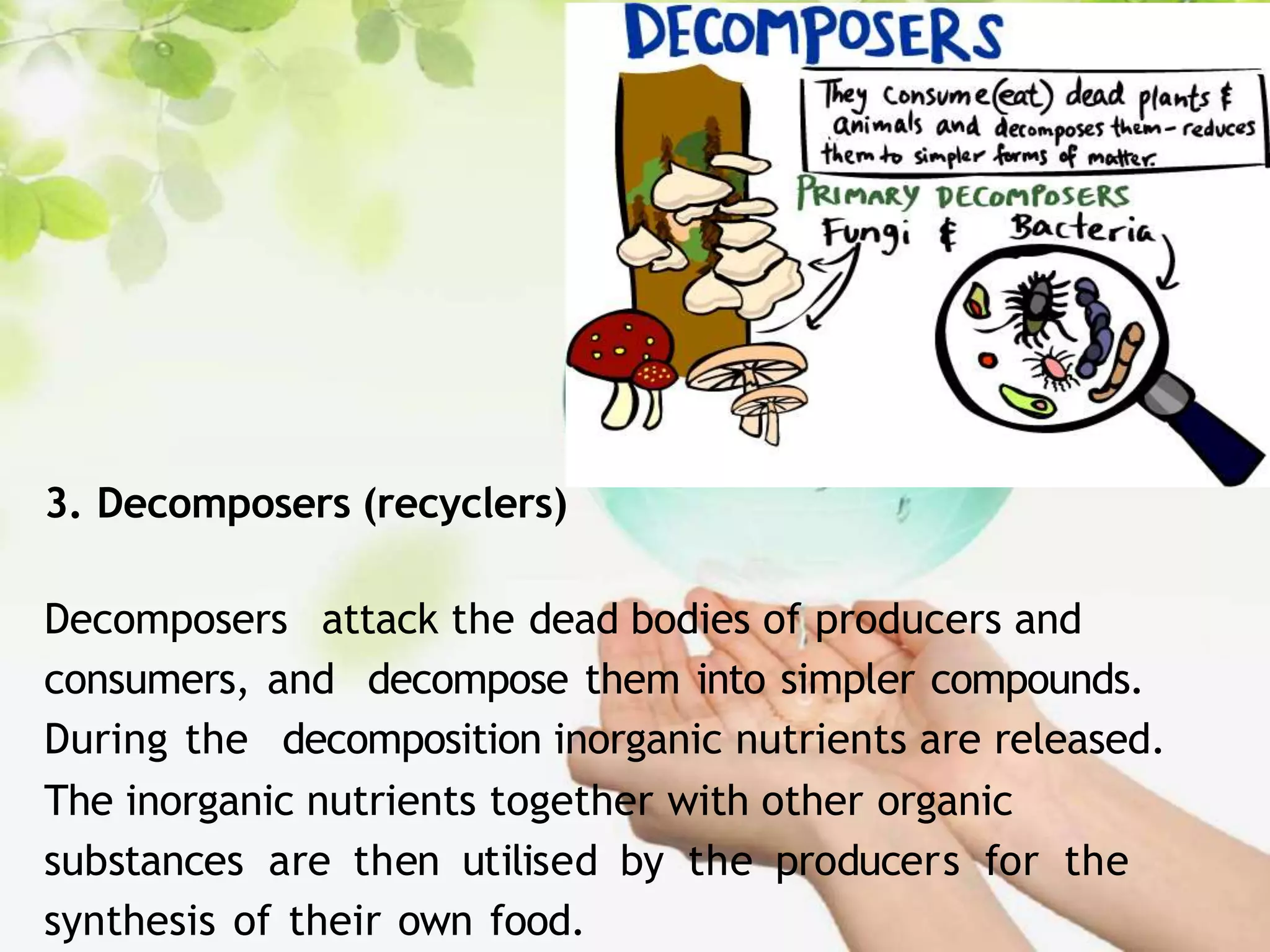 Ecosystem PPT_735_compressed.pptx