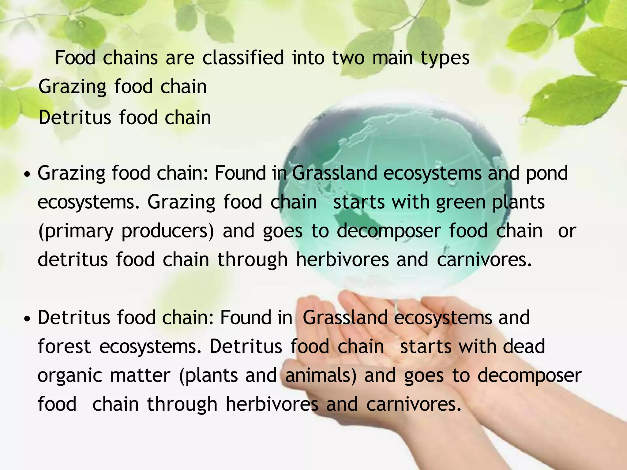 Ecosystem PPT_735_compressed.pptx