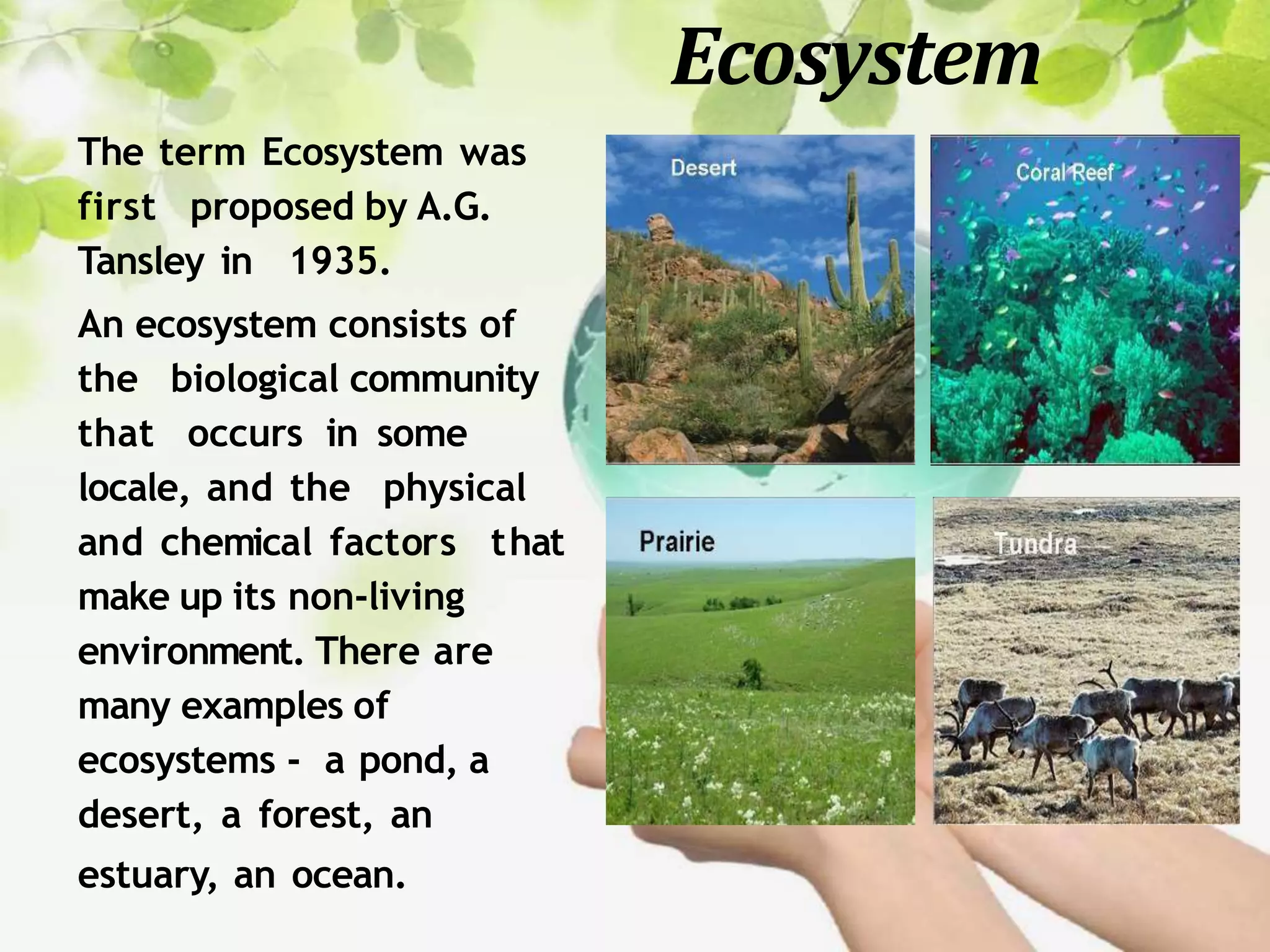 Ecosystem PPT_735_compressed.pptx