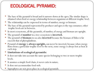 ECOSYSTEM PPT BY ABHISHEK Singh..fir cbse boards.pptx