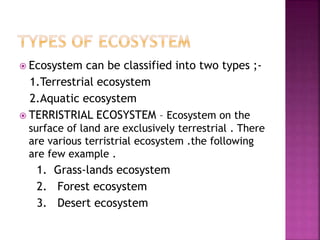 ECOSYSTEM PPT | PPTX