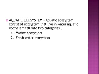 ECOSYSTEM PPT | PPTX