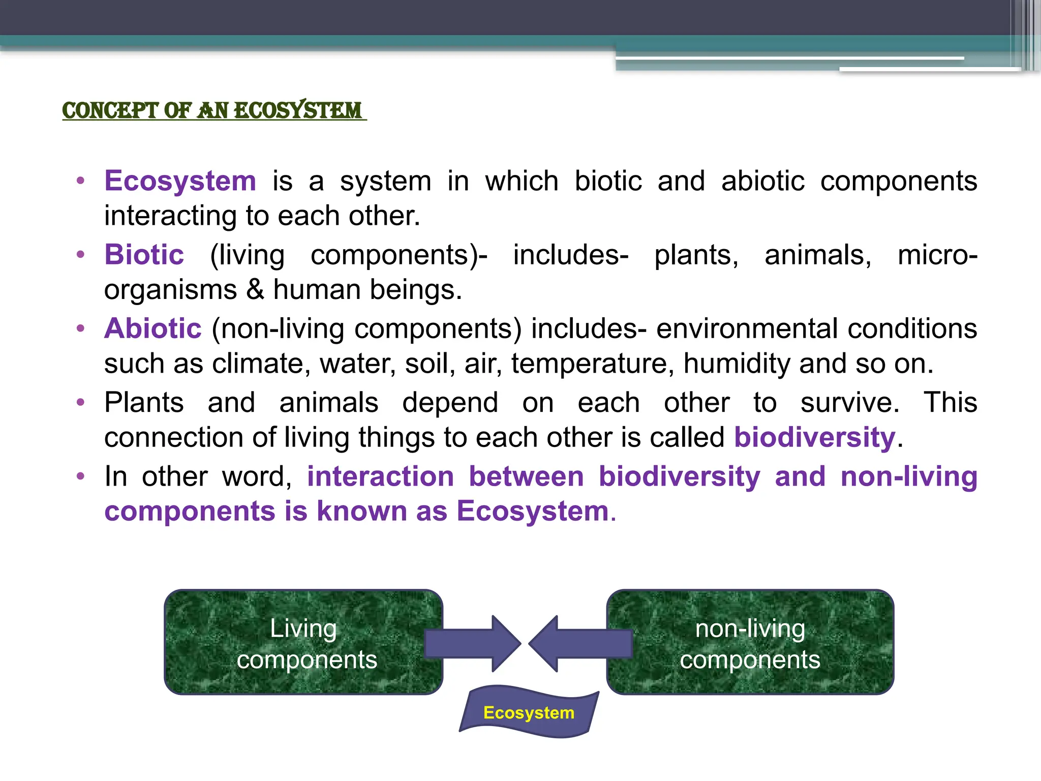 ECOSYSTEM PPT VG.On how to protect ecosystem | PPTX