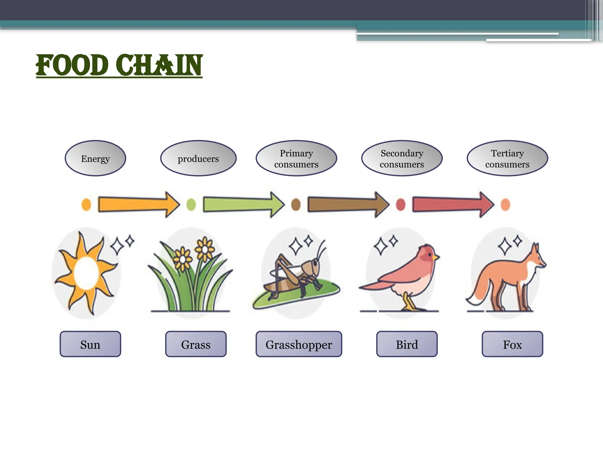 ECOSYSTEM PPT VG.On how to protect ecosystem | PPTX