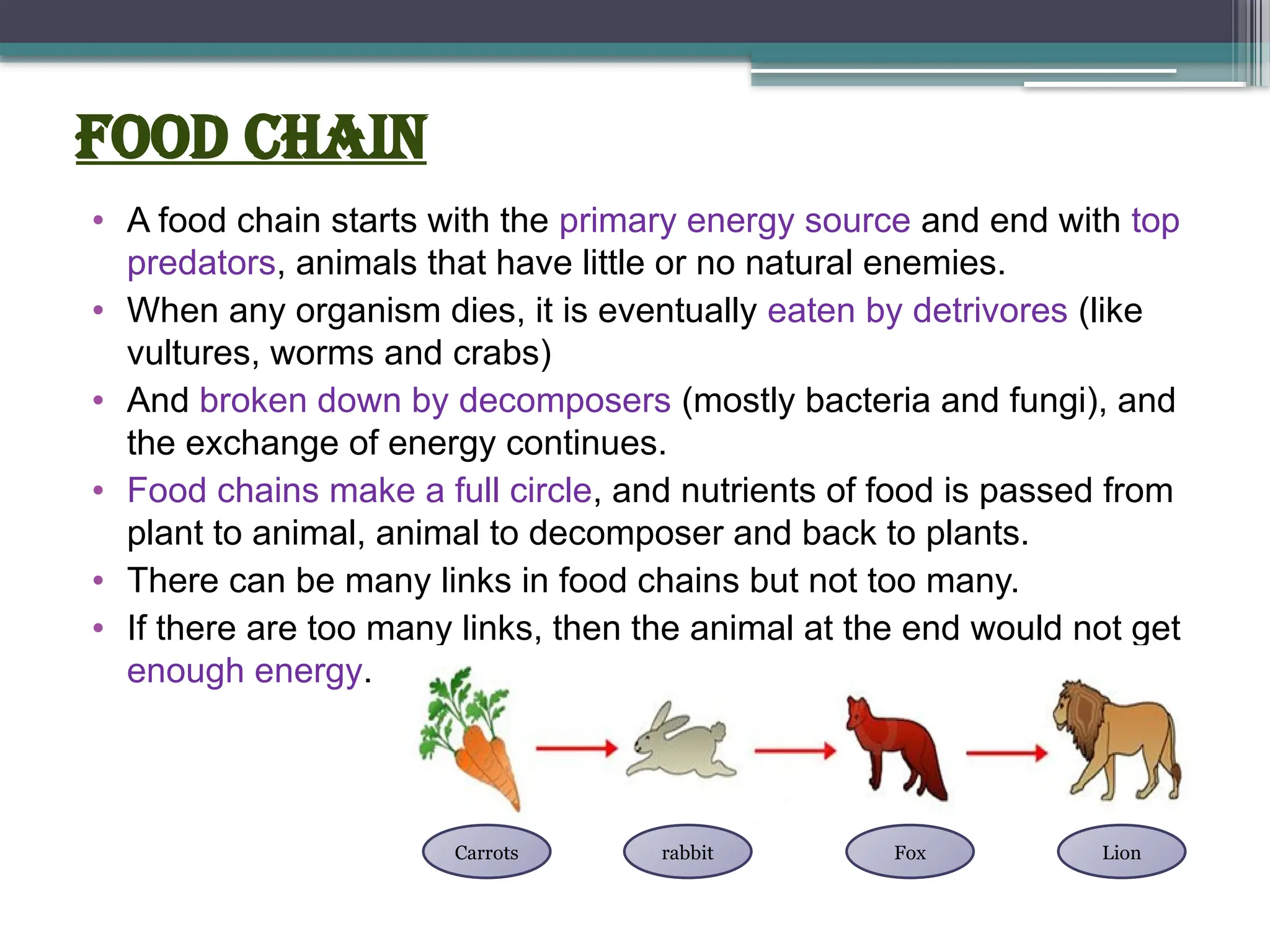 ECOSYSTEM PPT VG.On how to protect ecosystem | PPTX