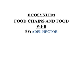 Ecosystem Presentation, food chain and food web | PPT