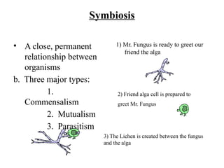 Ecosystem Presentation, food chain and food web | PPT