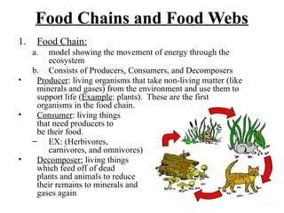 Ecosystem Presentation, food chain and food web | PPT