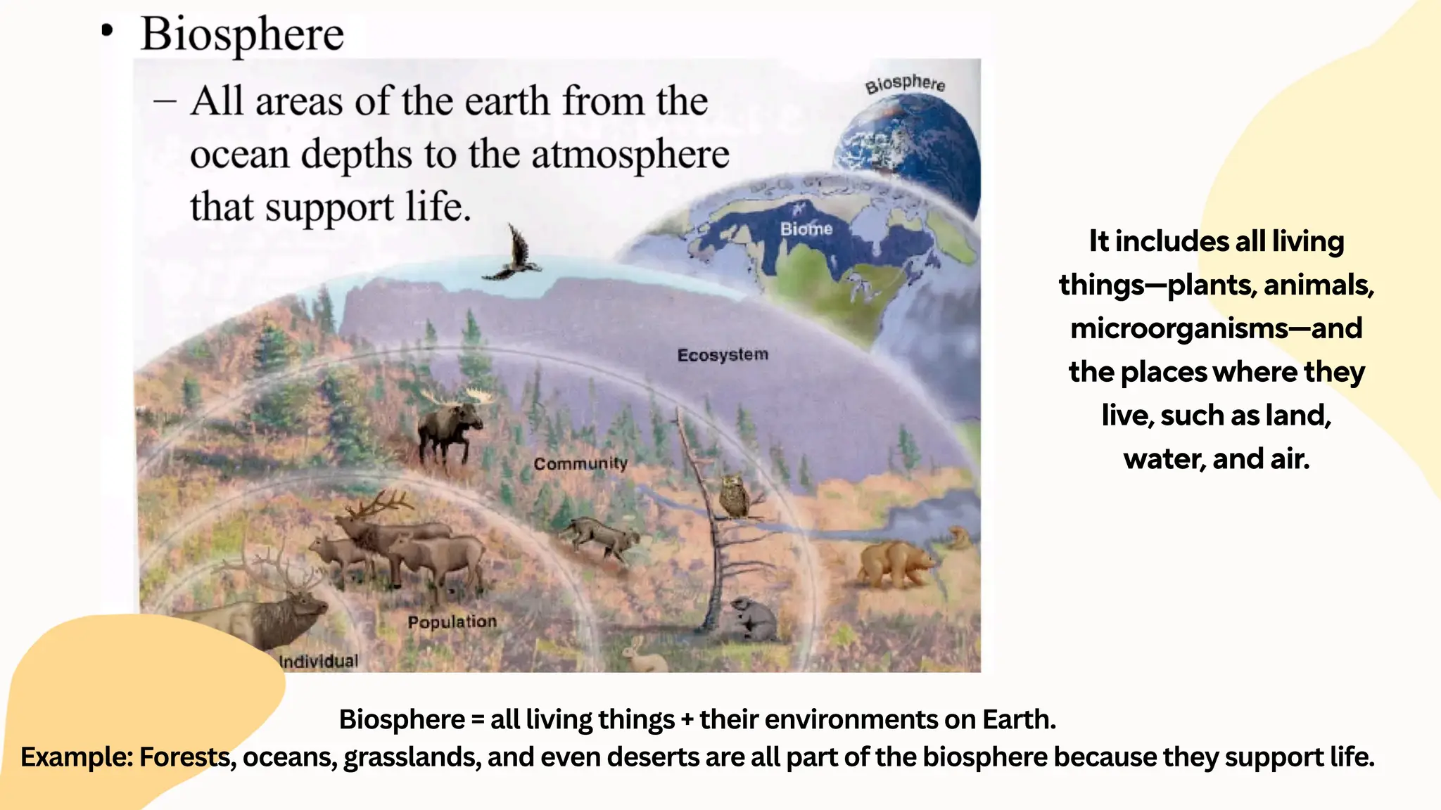 Ecosystem Presentation Ms. Marife (1).pdf