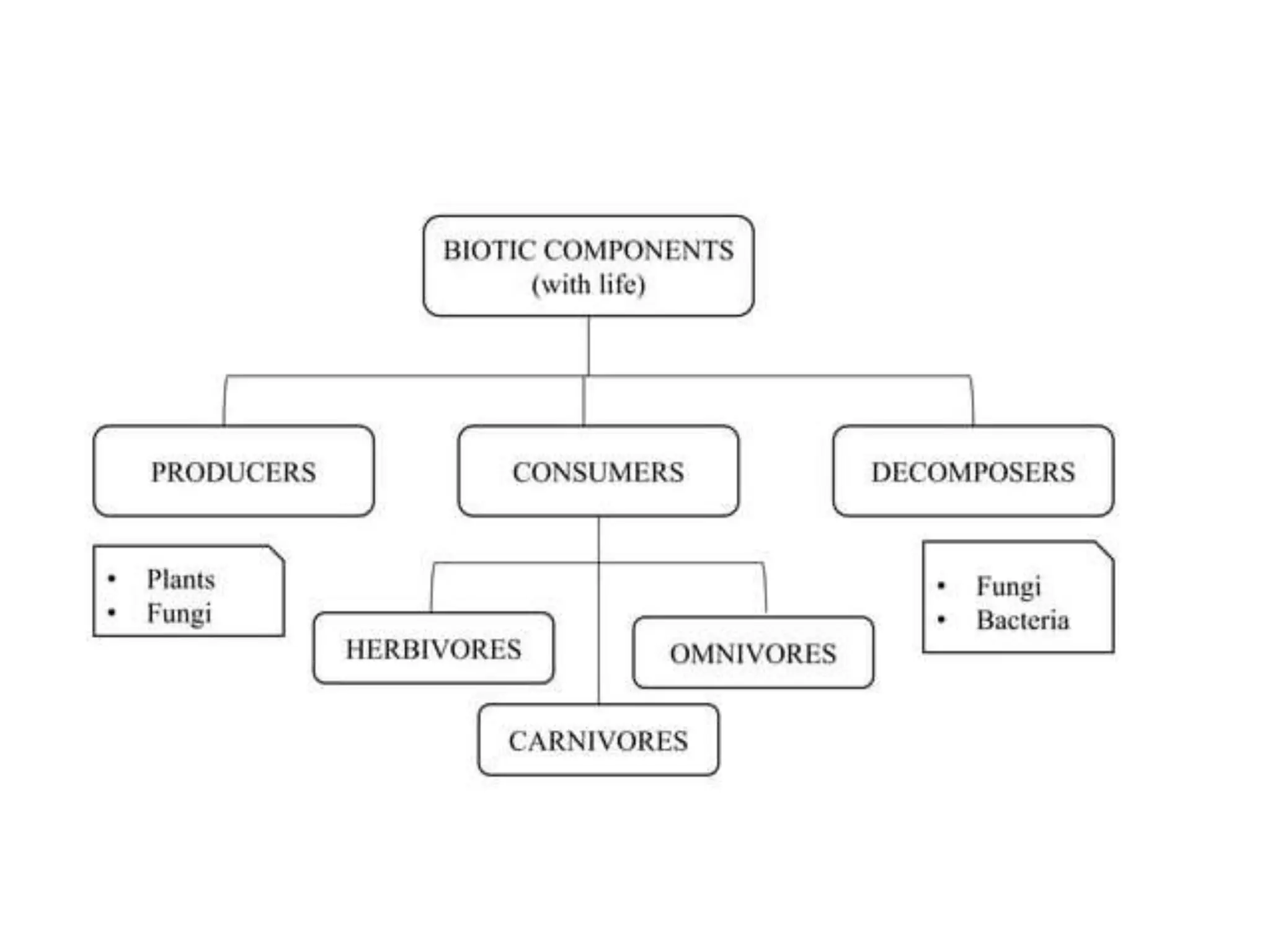 Ecosystem ( Hazards And Safety Management ) | PPTX