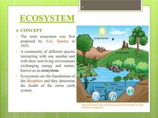 Ecosystem ( Hazards And Safety Management ) | PPTX