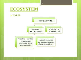 Ecosystem ( Hazards And Safety Management ) | PPTX