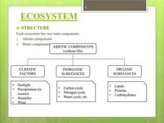 Ecosystem ( Hazards And Safety Management ) | PPTX