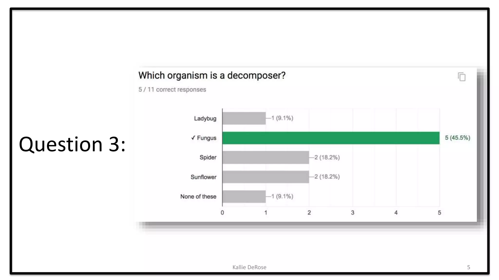 Ecosystem quiz google form analysis | PPT