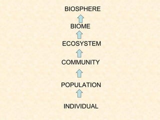 Ecosystem relationships | PPT