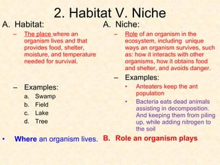 Ecosystem relationships | PPT