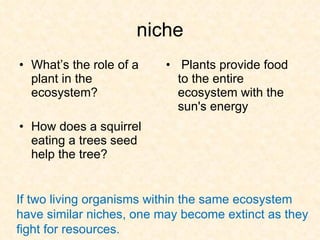 Ecosystem relationships | PPT