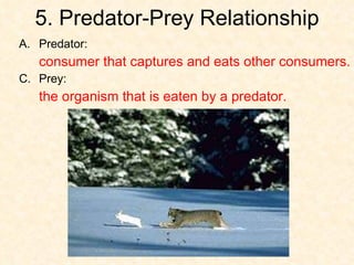 Ecosystem relationships | PPT