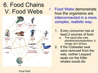 Ecosystem relationships | PPT