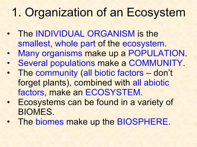 Ecosystem relationships | PPT