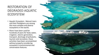 Ecosystem restoration | PPTX