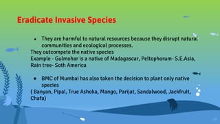 Ecosystem Restoration | PPTX